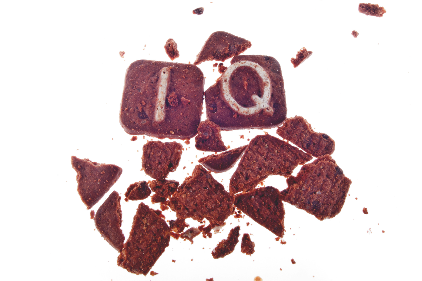 What's Your Food IQ? – REDCON1